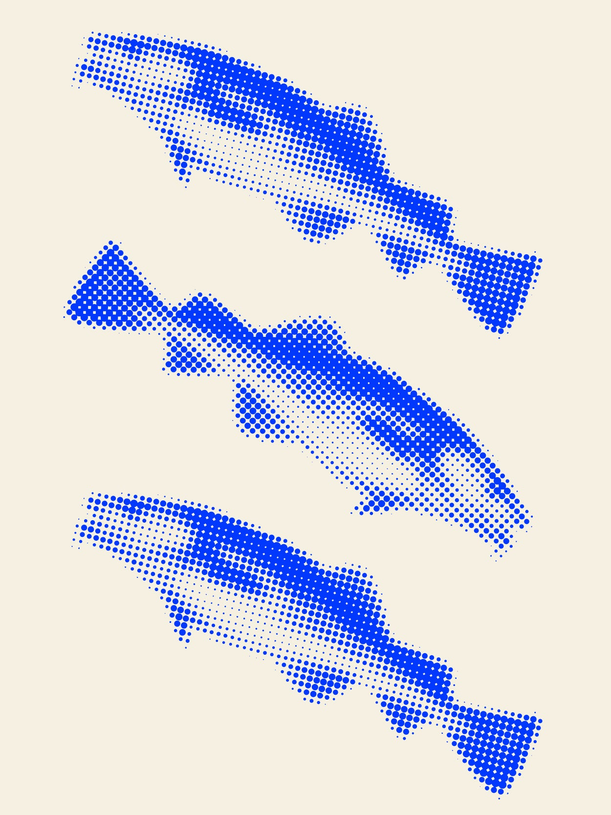 Buy the Best Canned Codfish | Traditional Portuguese Codfish